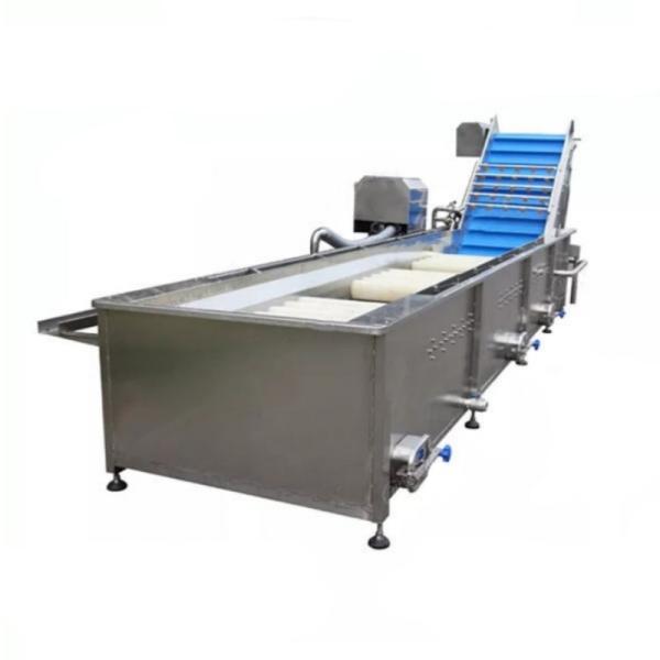 Quality Brush Roller Fruit And Vegetable Processing Machine For Michelin Starred for sale