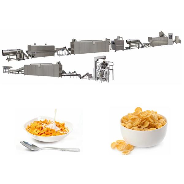 Quality Corn Flakes Manufacturing Machine Puffed Breakfast Cereal Corn Flakes Making for sale