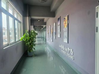 China Factory - Dongguan Pinhe Shoes Co., Ltd