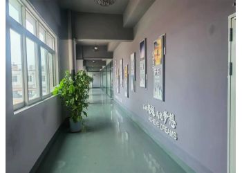 china manufacture Dongguan Pinhe Shoes Co., Ltd