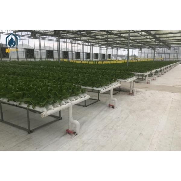 Quality NFT Hydroponic PVC Pipe Compact Hydroponic Planting Systems Indoor With Rapid Nutrient Cycling for sale