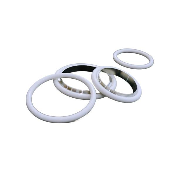Quality Dowhon Customized Perfluoro FFKM O Ring 70 Shore A Good Flexibility Temperature for sale