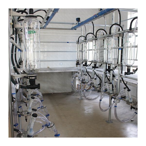 Quality Parallel Lines 20T/H Herringbone Milking Parlor Automatic Milk Machine for sale