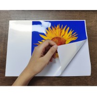Quality 110gsm Glossy Sticker Photo Paper for sale