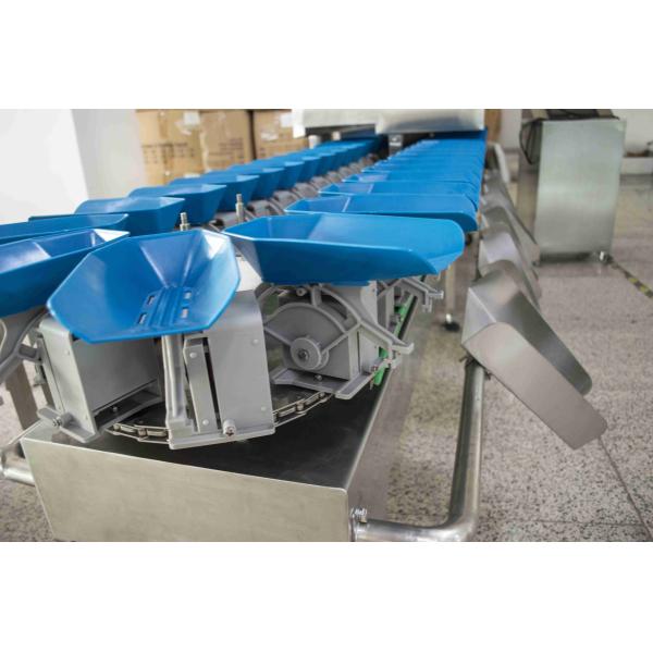 Quality Automatic Batching Rotary Tray Fruit Sorting Machine Fish Weight Grader for sale