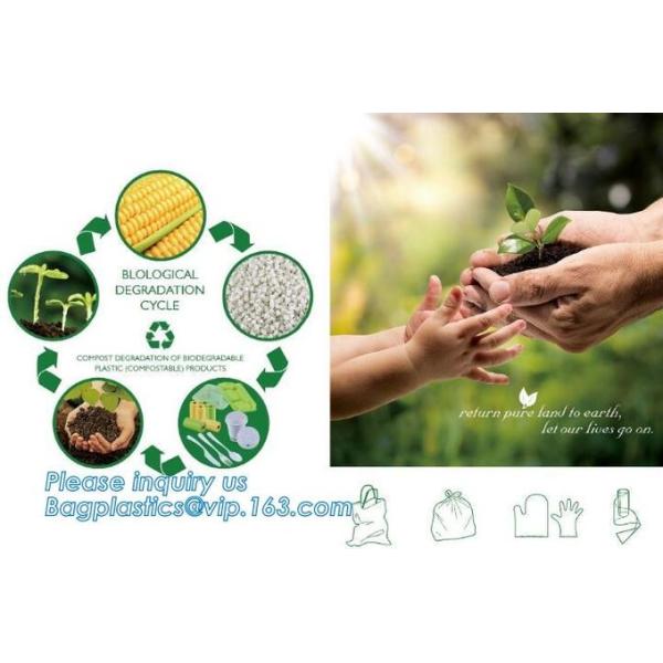 China YANTAI BAGEASE PACKAGING PRODUCTS CO.,LTD. company profile 10