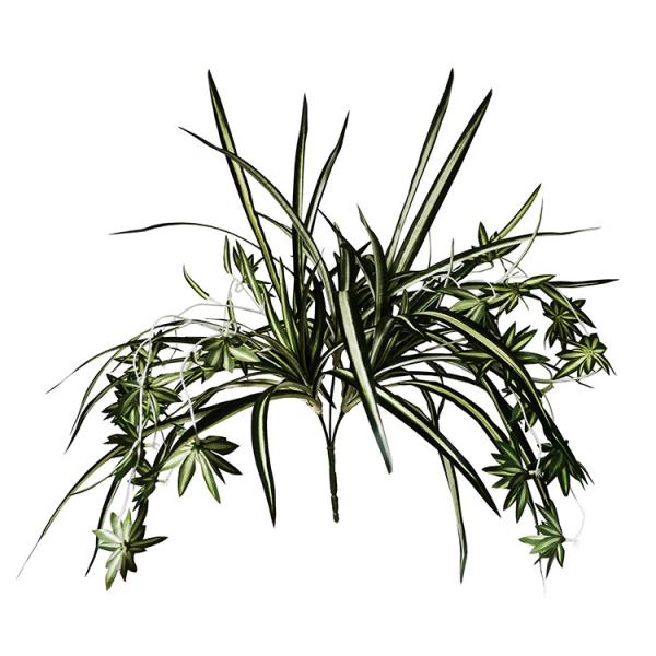 Quality Fire Retardant Anti UV Artificial Spider Plant , Silk Spider Plant Aesthetic for sale