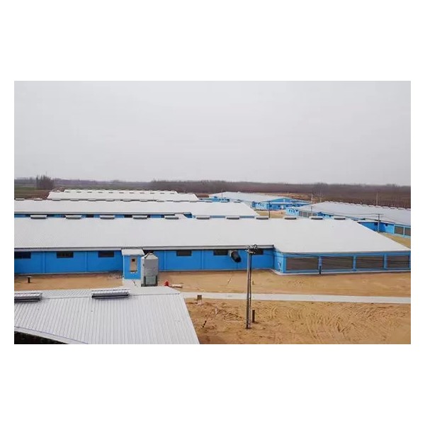Quality Steel Structure Commercial Chicken Houses GB Standard Corrosion Resistance for sale