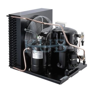 Quality Made in China 1.5HP to 3HP Tecumseh compressor condensing unit cold room for sale
