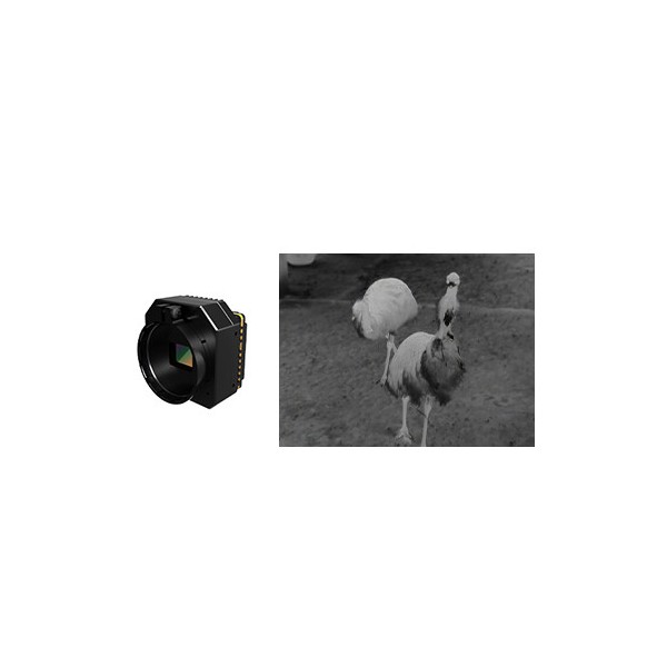 Quality 67g Infrared Detector 8μm-14μm Spectral Range for sale