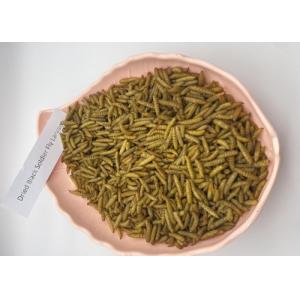 Quality Top-Quality Dried Insect Meal in Carton Packaging 3-5cm Size for sale