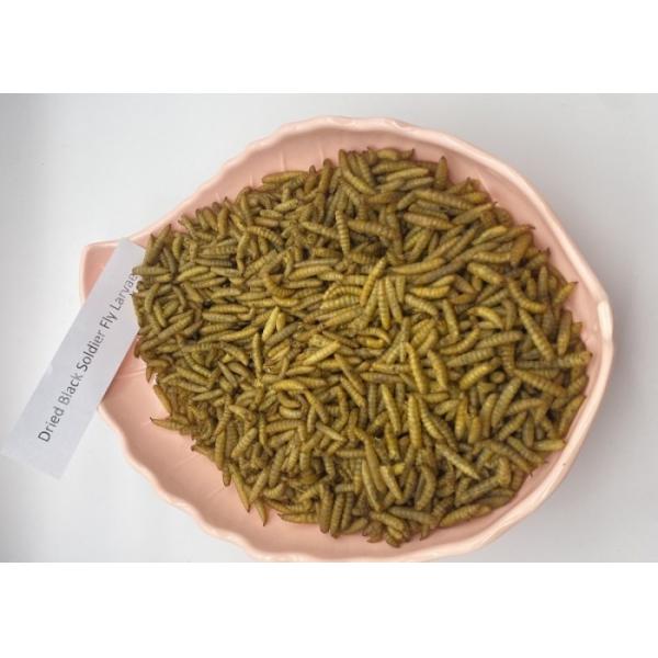 Quality Top-Quality Dried Insect Meal in Carton Packaging 3-5cm Size for sale