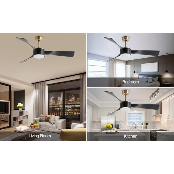 Quality Smart Energy Saving 52 Inch Ceiling Fan Lighting In Black for sale