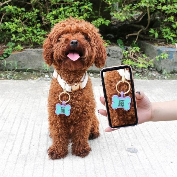 Quality Wholesale low MOQ Cheap different shape many colors for options silicone blank dog tag name ID tag for sale