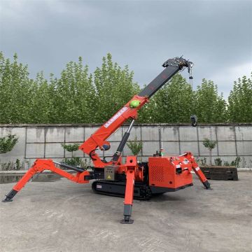 Quality 360 Degree Rotation Lift Crane Machine 3-12Ton Customized Spider Crawler Crane for sale