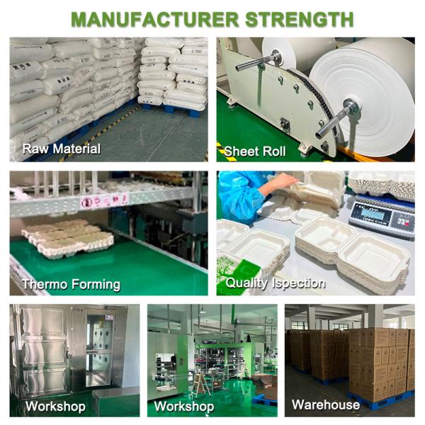 Quality Eco-Friendly Customized Size Cornstarch Disposable Plate Tableware for Lunch for sale