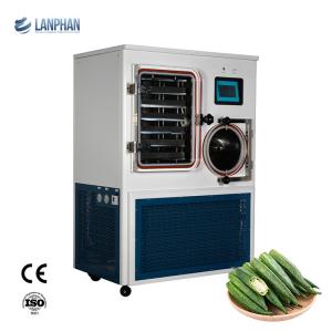 Quality Pilot Scale Commercial Food Vegetable Vacuum Freeze Dryer for sale