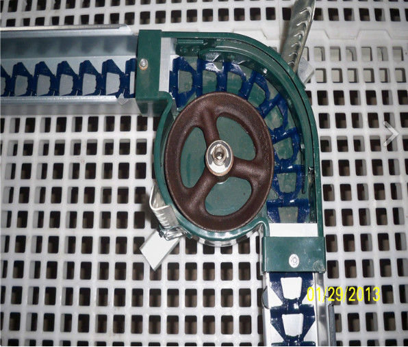 Quality Chain Feeder System Chicken Breeding Equipment for sale