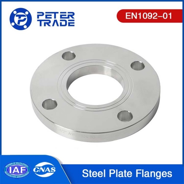 Quality EN1092-01 Standard TYPE 01 Stainless Steel Plate Flange SS304 SS316L PN 2.5 PLFF Flat Face for sale