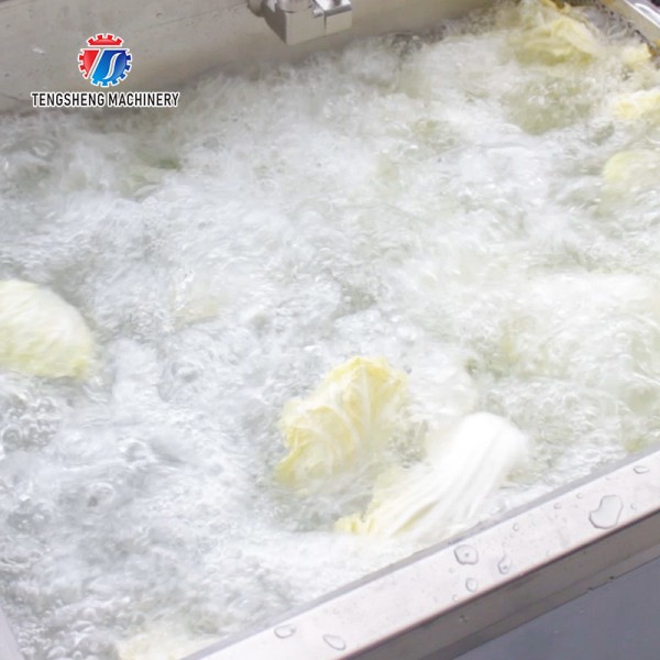 Quality Industrial Single Bubble Fruit And Vegetable Washing Machine 300KG/H for sale