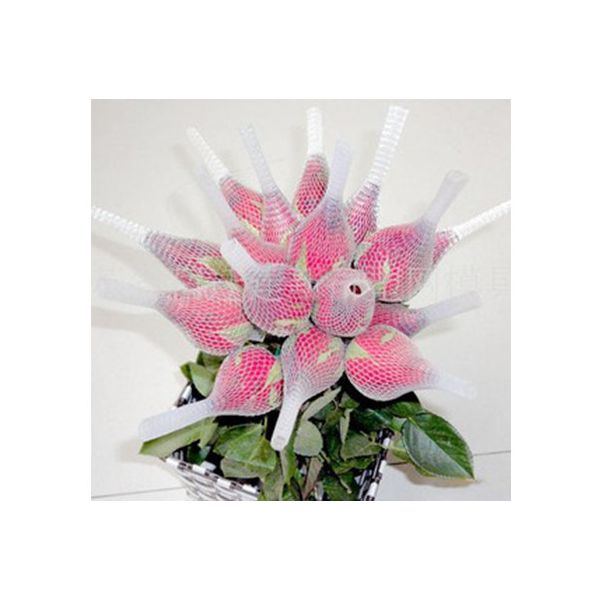 Quality Flower mesh bag for sale