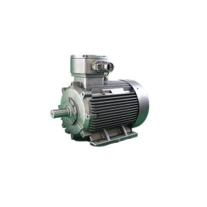 Quality YBX3 160L-4 195KG Three Phase Asynchronous Motor 380V 50Hz for sale
