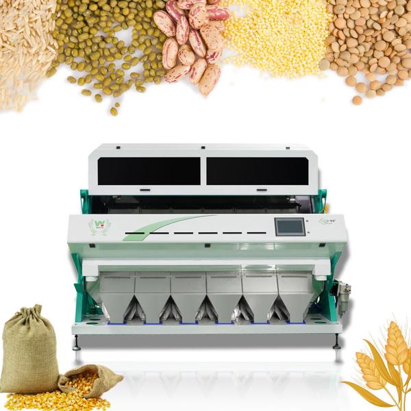 Quality 5400 Pixel High Accuracy CCD Rosehip Cherry Beans Sorting Machine Wifi Remote for sale
