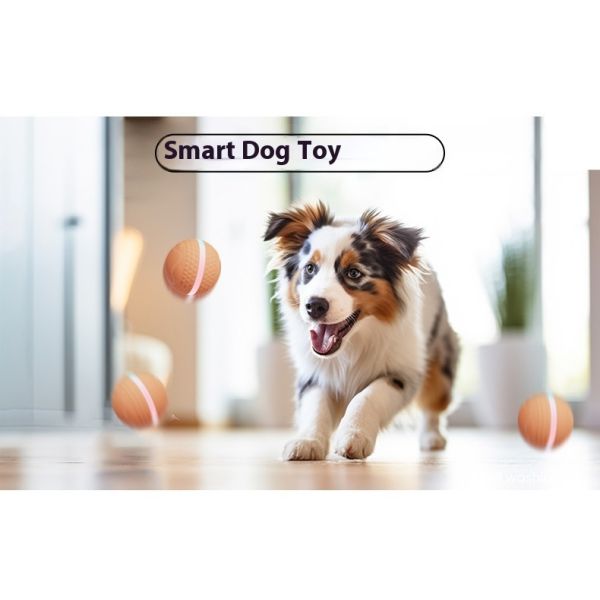 Quality 2025 Rechargeable Eco-Friendly Silicone LED Flash Light Cute Automatic Rolling for sale