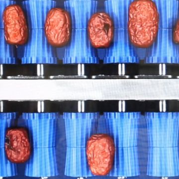 Quality Smart Machines Sort All Kinds Of Dates 12 Lanes Dates Sorting Machine for sale