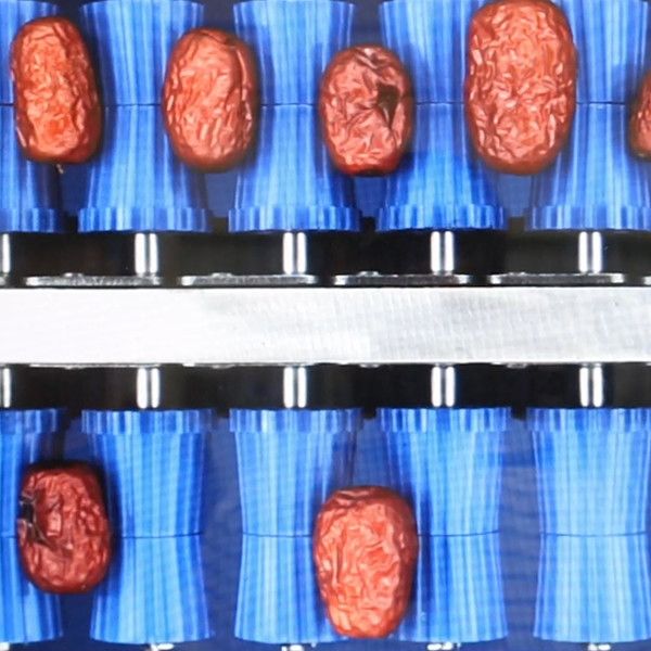 Quality Stainless Steel Dates Sorting And Grading Machine 380V 10 Lanes for sale