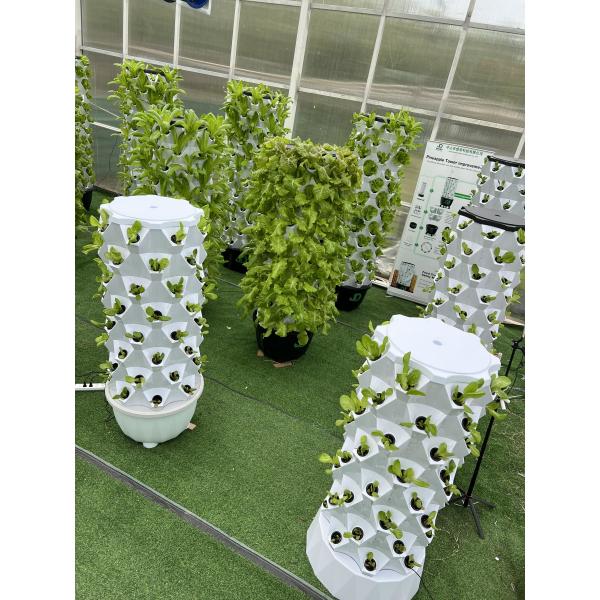 Quality 10x30m Side Ventilation Single Span Tunnel Agricultural PC Greenhouse with for sale