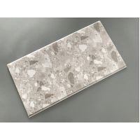 Quality Customized Waterproof Plastic Wall Panels Exterior Hot Stamping Treatment for sale