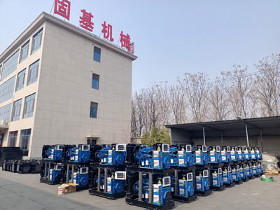Quality 32 KW Power Generator Set 40 KVA Diesel Backup Generator In IT Industries for sale