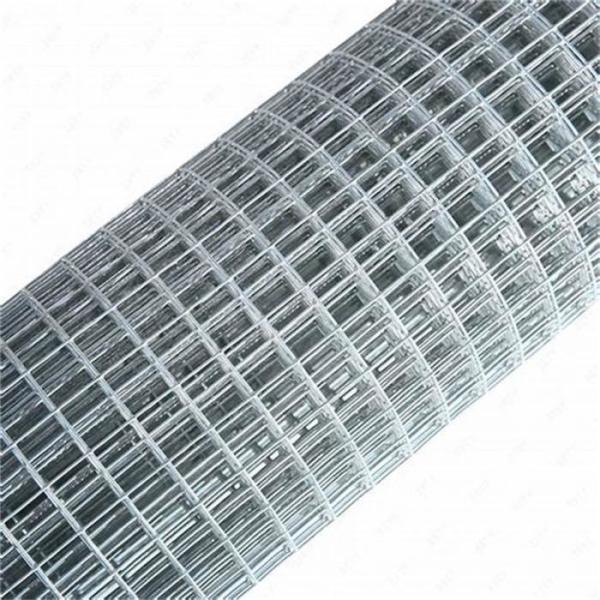 Quality 1/2x1/2 Inch 16 Gauge Electro Galvanized Welded Wire Mesh Rolls with Corrosion for sale
