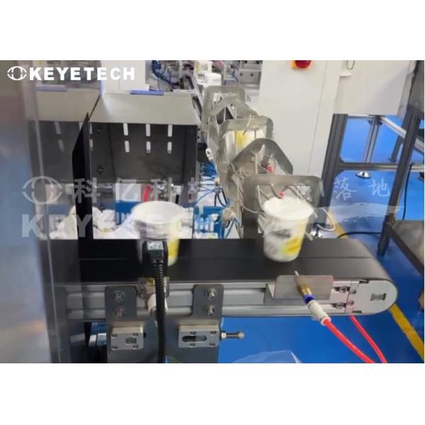 Quality Turnkey Solutions IML Entry Robot with Full Automated Vision Inspection System for sale