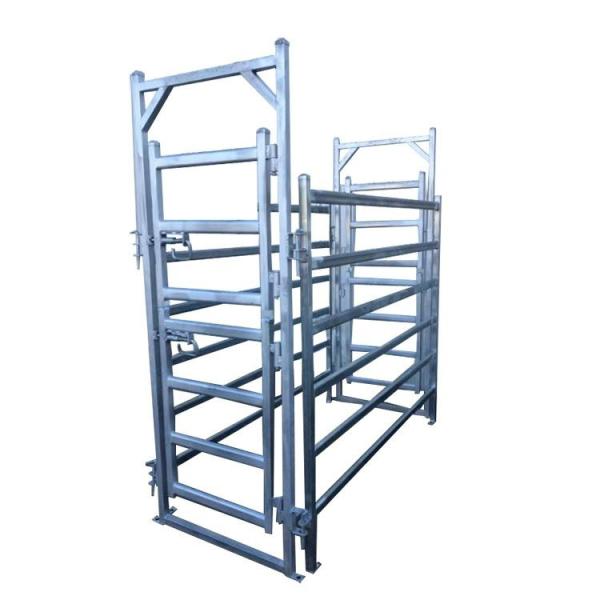 Quality Hot DIP Galvanized Cattle Yard Crush Headbail Stability And Security for sale
