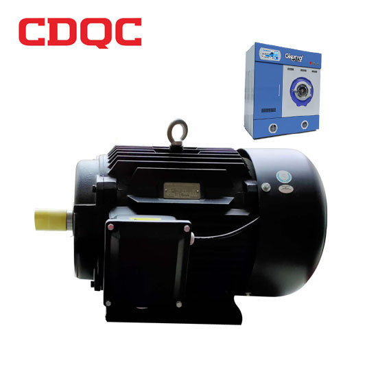 Quality CDQC Black  High Frequency Induction Motor With Frequency Converter AC Electric washing motor for sale