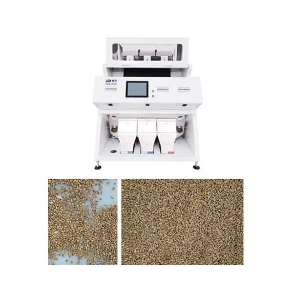 Quality 3 Chutes Agriculture Wheat RGB Color Sorter Easy Installation for sale