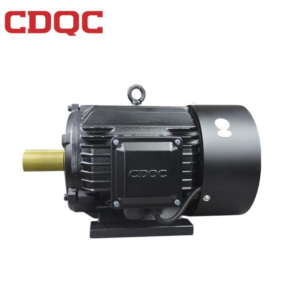 Quality Black Flange Mounted Motor 0.75kW-22kW IP54 With Thermal Protector Encoder for sale