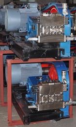 Quality Horizontal Plunger Type Polymer Pump High Performance With Compact Structure for sale