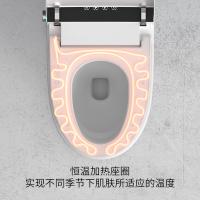 Quality Automatic Intelligent Flushing Toilet Water saving Sanitary Ware for sale