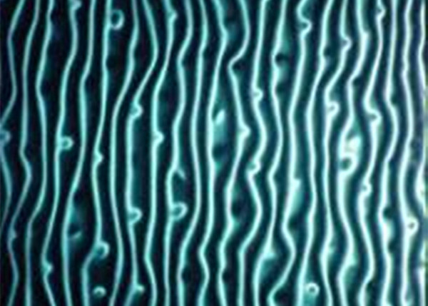 Quality 4-12MM Printed Laminated Glass Backsplash 300X300MM for sale