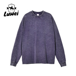 Quality Oversized Heavyweight Cotton Hoodie Dropped Shoulder Embroidery Sweatshirt for sale
