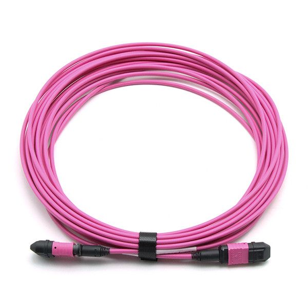 Quality Male To Female MPO Trunk Cable Assembly 12 Fibers Polarity A OM4 OFNP Magenta Jacket for sale
