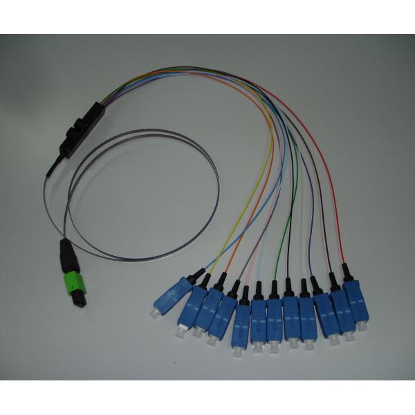 Quality US CONEC MTP to SC,8/12/24cores Hydra patch cord/Cable Assemblies for sale