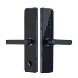 Quality OEM ODM Black RFID Smart Door Lock With Fingerprint And Password for sale