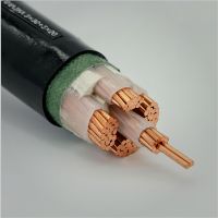 Quality Fire-Resistant Power Cable with Copper Conductor and XLPE Insulation for for sale