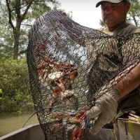 Quality 19 Gauge Crawfish Wire Mesh PVC Coated Saltwater Resistant for sale