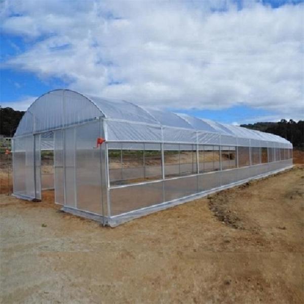 Quality Agricultural PE Film Polyethylene Plastic Sheeting Greenhouse Commercial for sale