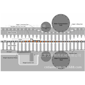 Quality Dual Layer Double Side Rotary High Speed Tablet Press for sale